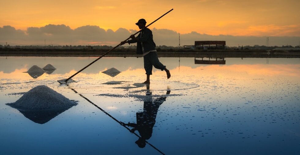 What Is Seacret Direct? Can You Trust This Dead Sea Mineral MLM ...