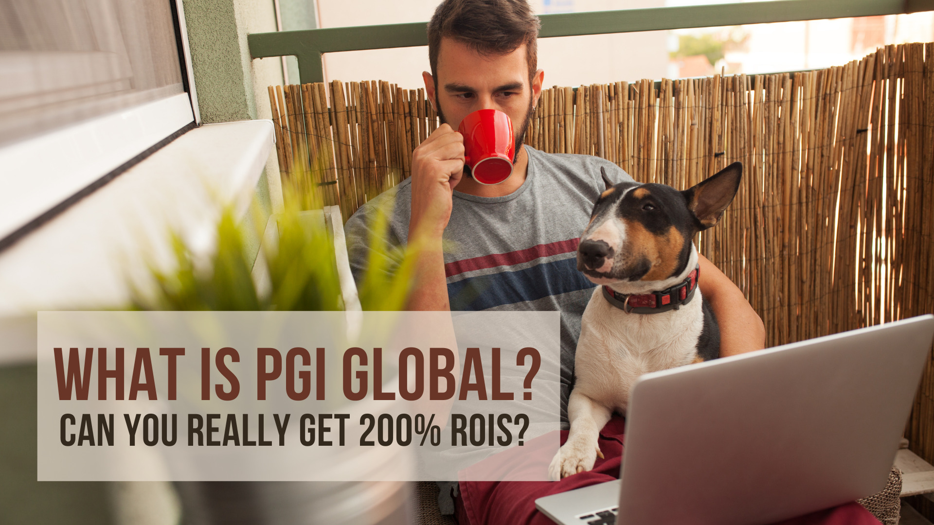 What Is PGI Global? Can You Really Get 200% ROIs? - Building An Online ...