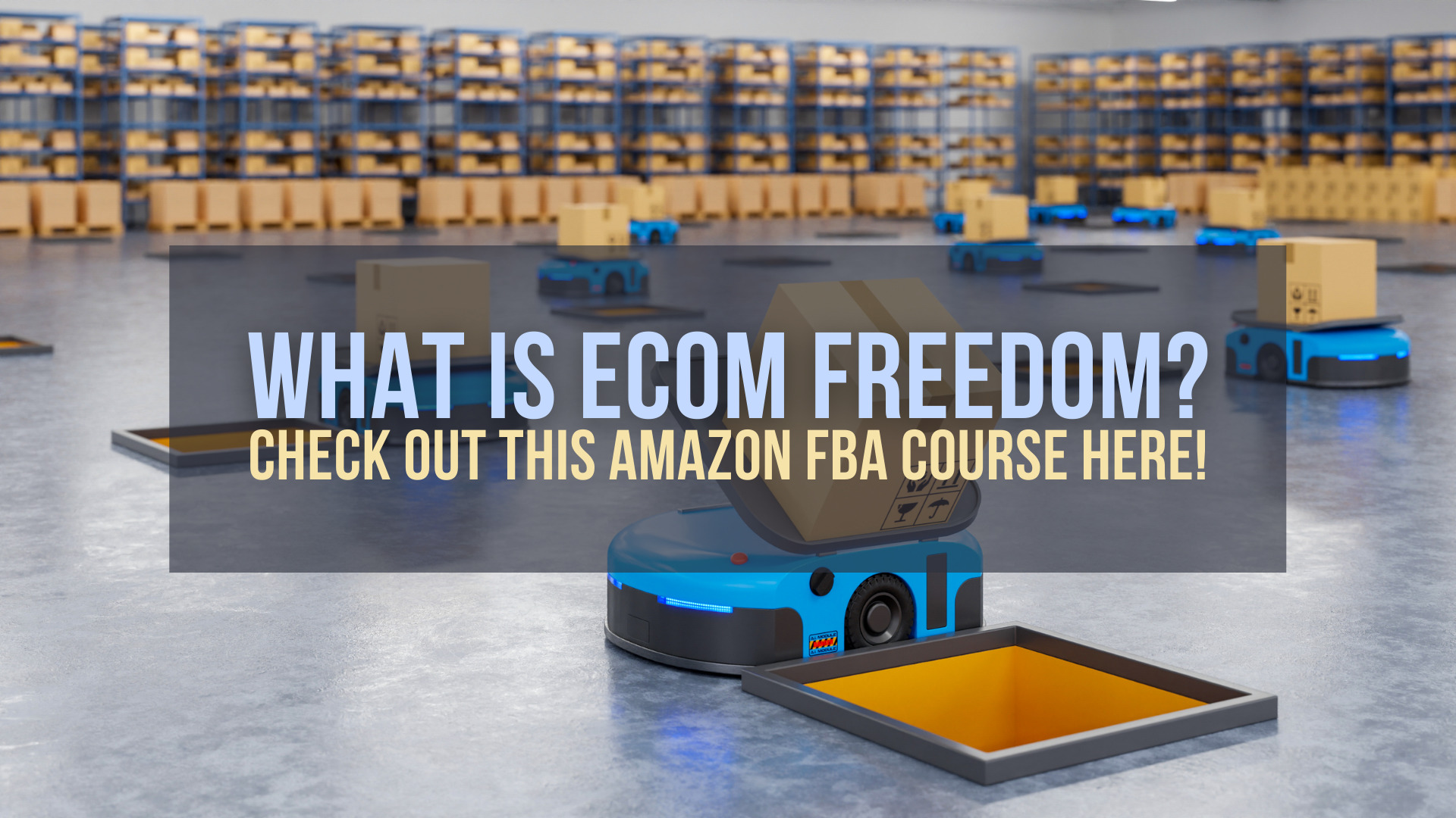 What Is Ecom Freedom? Check Out This Amazon FBA Course Here!