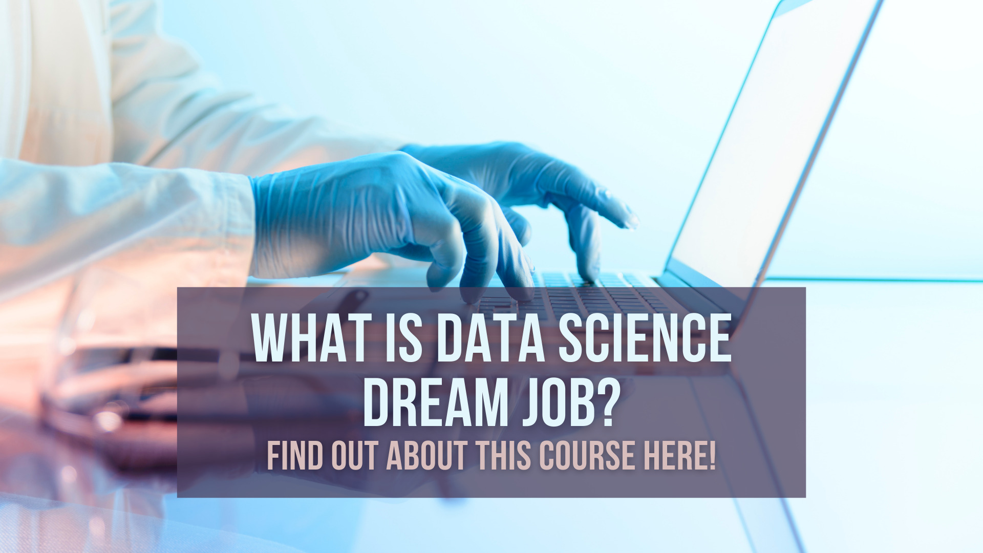 What Is Data Science Dream Job? Find Out About This Course Here!